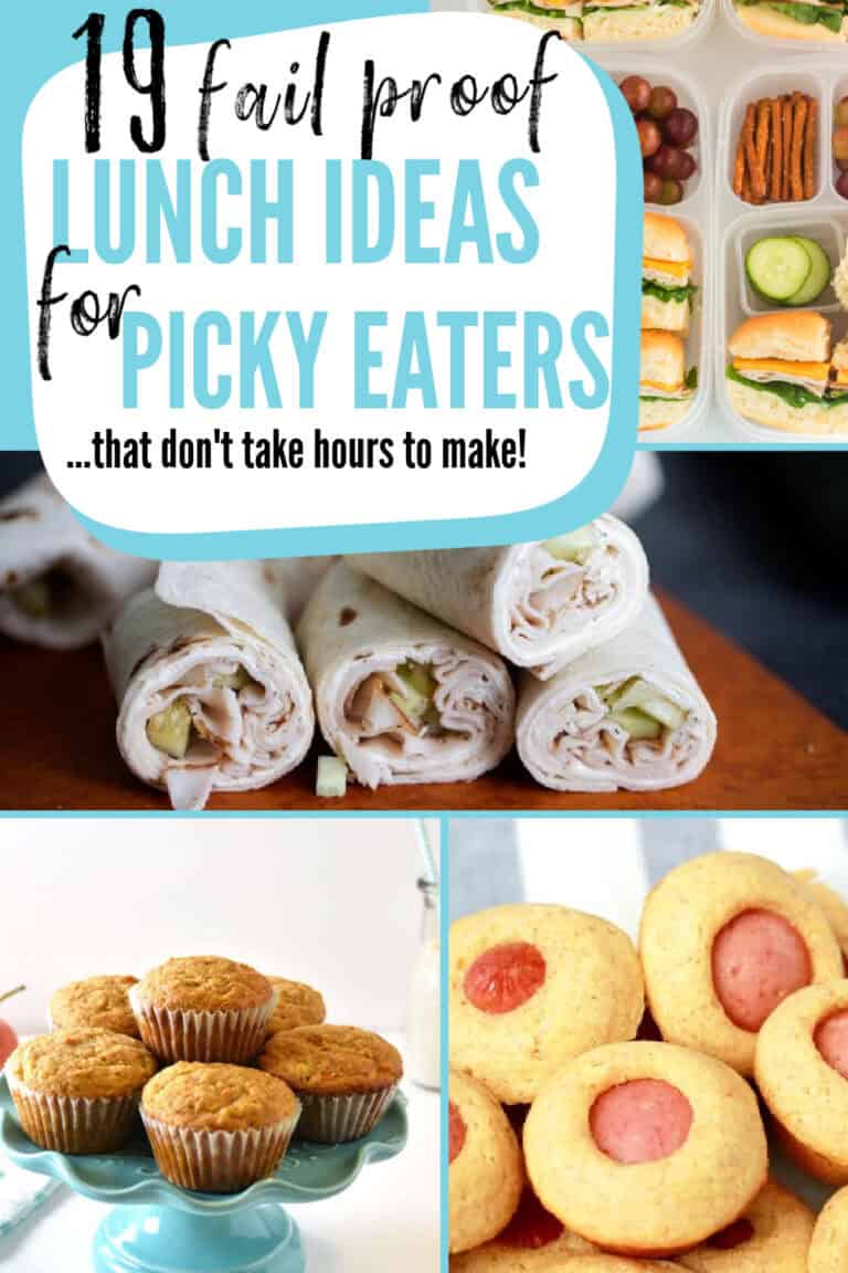 19 School Lunch Ideas for Picky Eaters