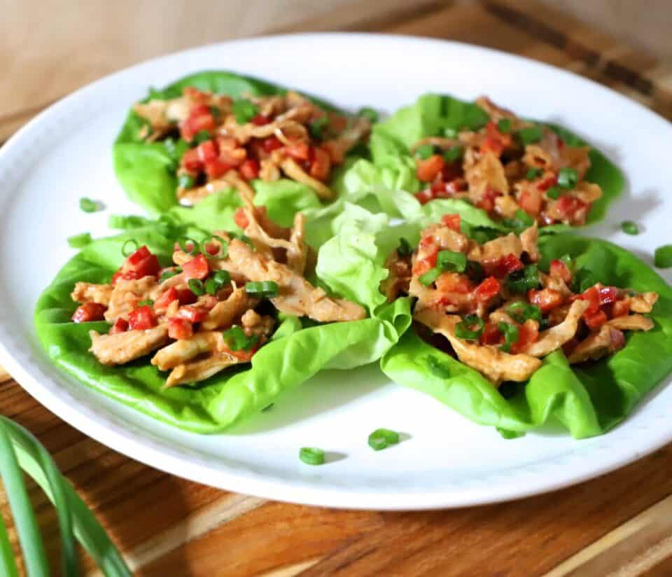 42 Best Easy Chicken Recipes For Summer | The Mommyhood Club