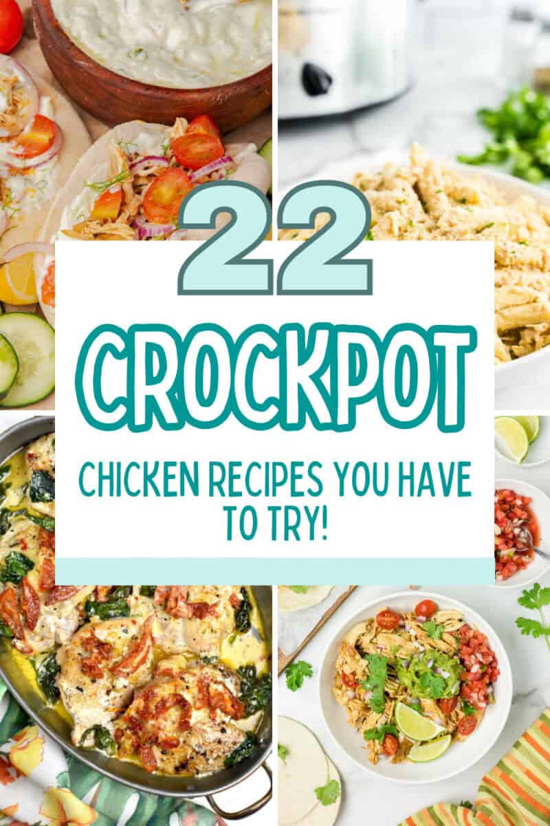 22 Super Easy Crockpot Chicken Recipes | The Mommyhood Club