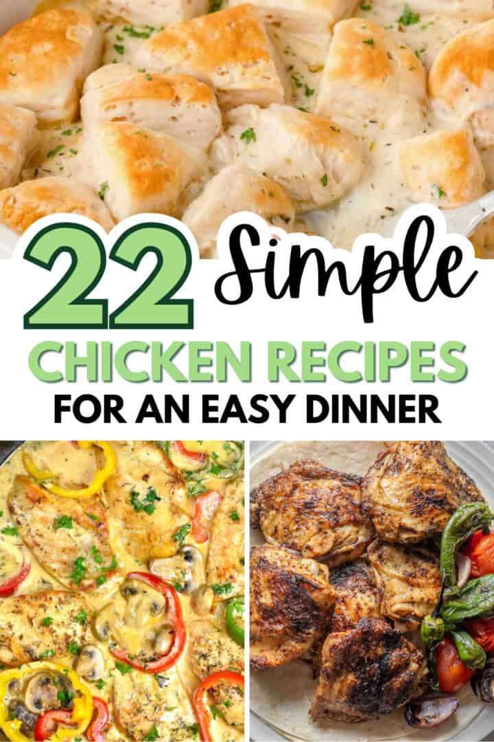 22 Easy Chicken Recipes You Have to Try | The Mommyhood Club