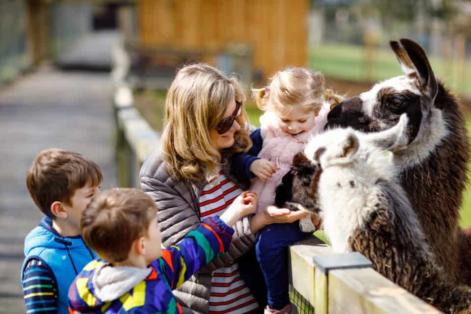 30 Fun Summer Activities for Preschoolers
