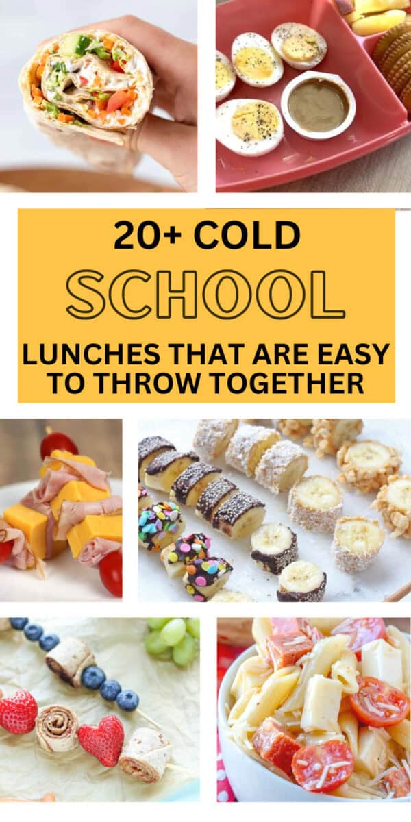 20+ Cold School Lunch Ideas For Kids (easiest lunches EVER)